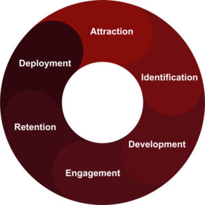 Talent Management | ReVision Ltd | Talent Assessment Solutions