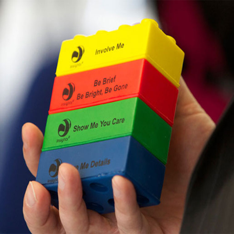 Insights Discovery For Business | ReVision Ltd Services